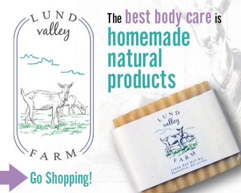 Sergeant Charles Windolph, Last Survivor of the Battle of the Little ...